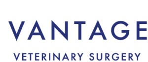 Vantage Veterinary Surgery | Specialty Veterinary Surgery in Ramsey, NJ
